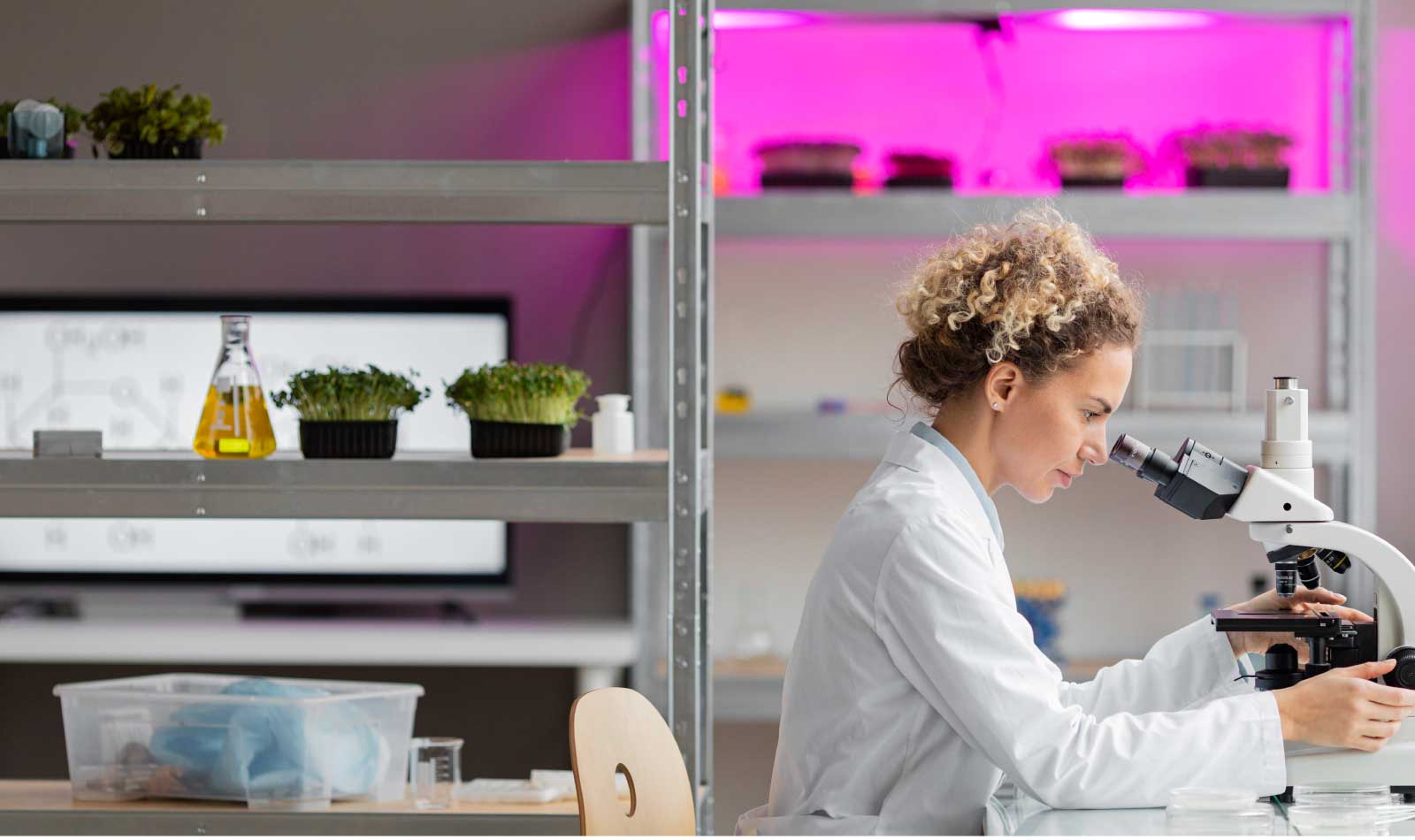 Scientific publications - Smurf project