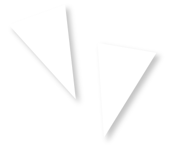 SMURF project, EU’s Forest Strategy - Smurf project